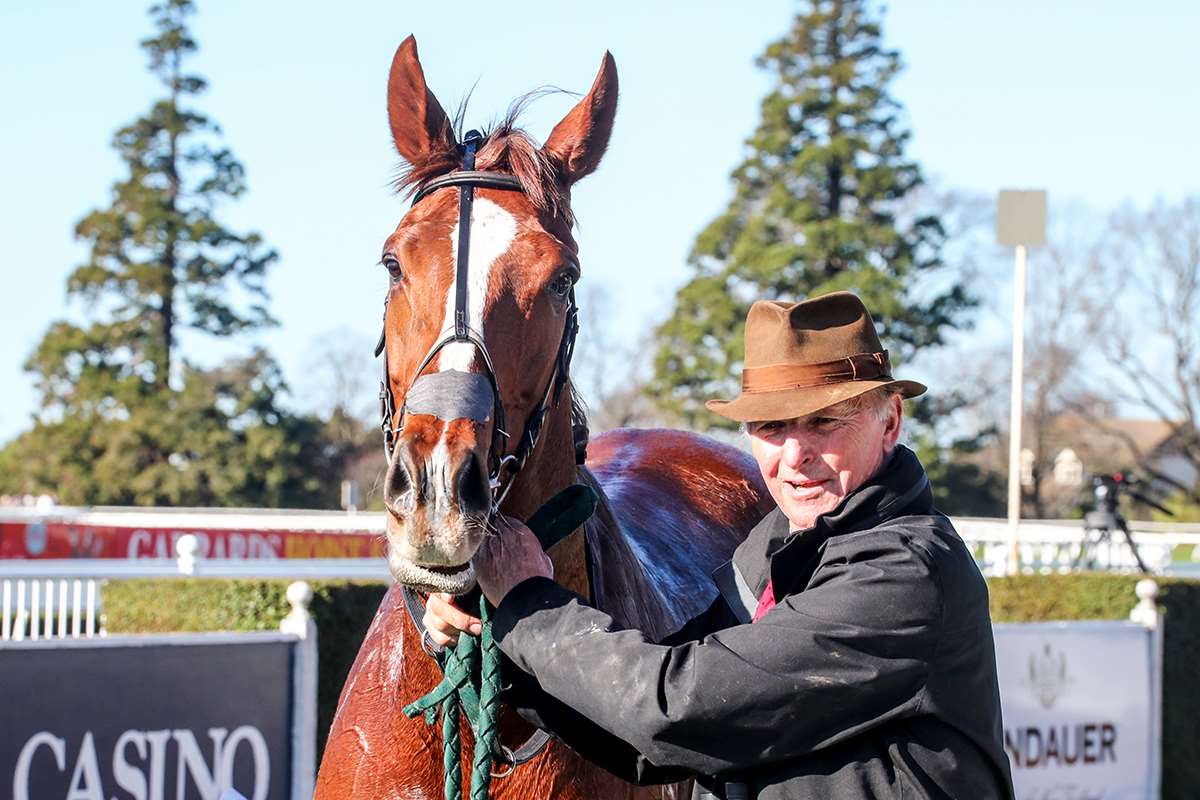 Wilson’s wonderful journey over fences - Jumps